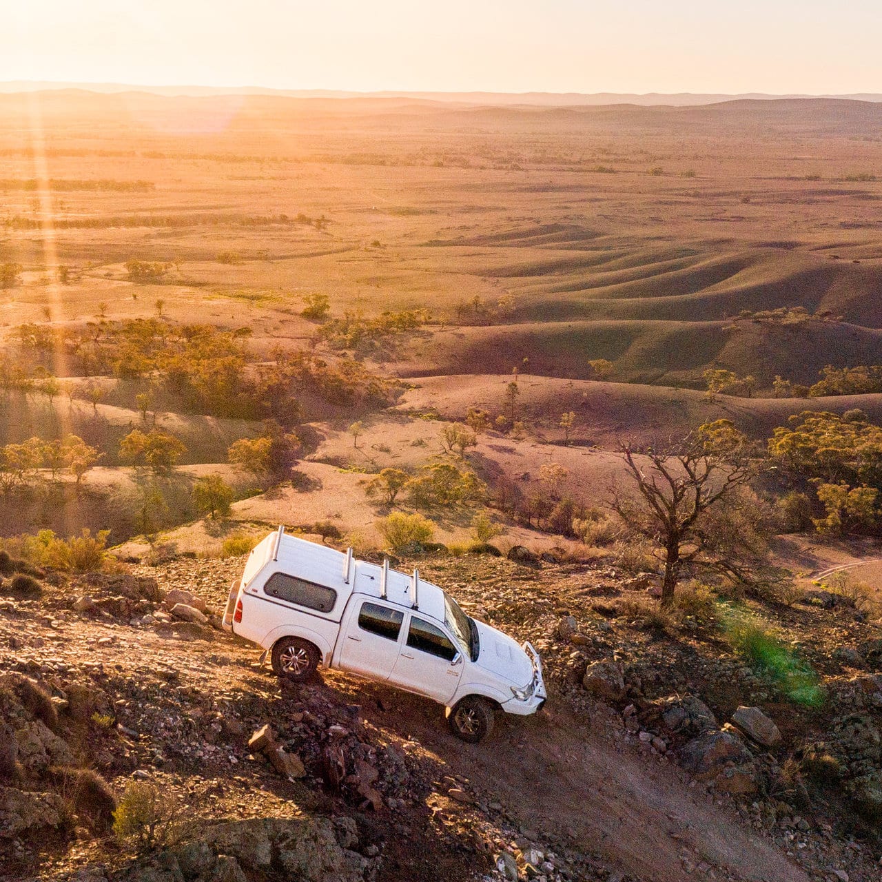 Blog | Bendleby Ranges